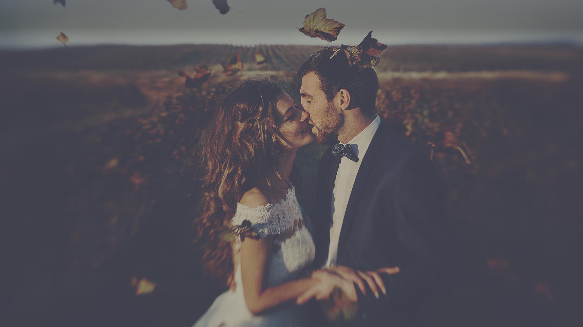 Vineyard Events - Graham Vineyards