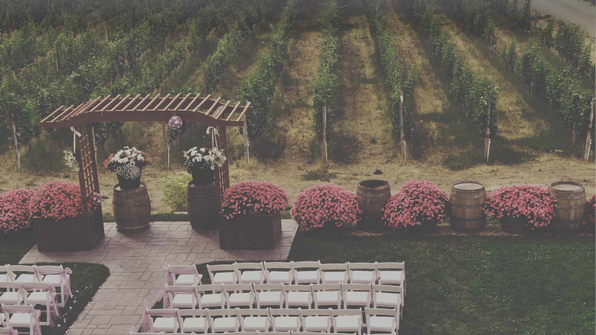 Vineyard Events - Graham Vineyards