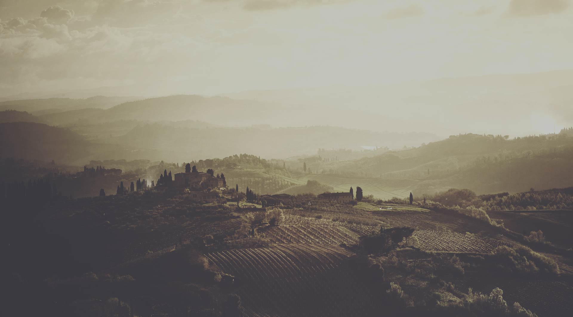 Graham Vinyard & Winery – A Boutique Winery